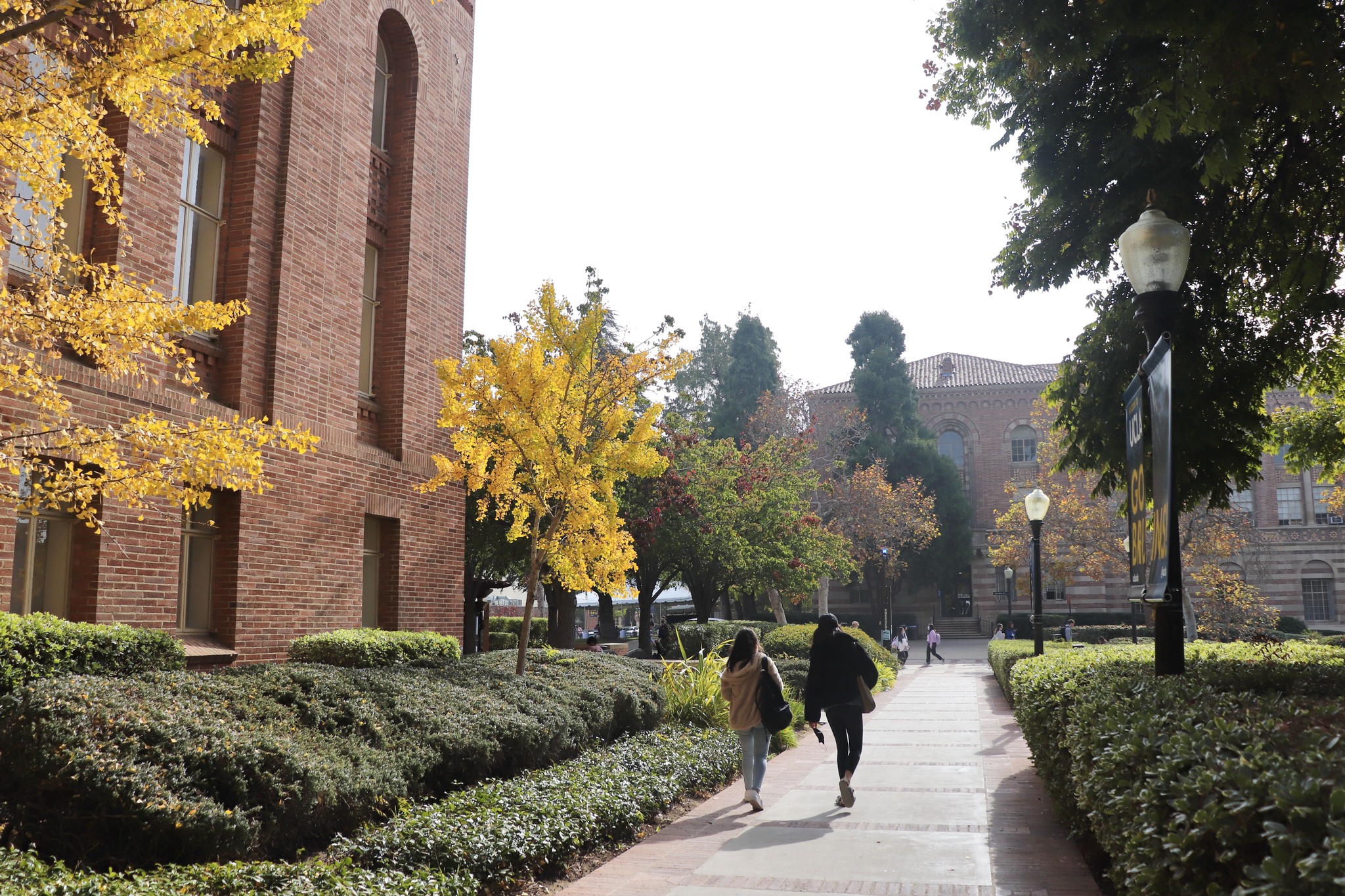 Top 10 Public Universities In USA Find Out The Best Public Top 10 Public Universities In USA Find Out The Best Public